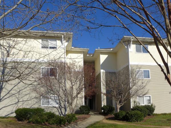 Louise Beck Properties